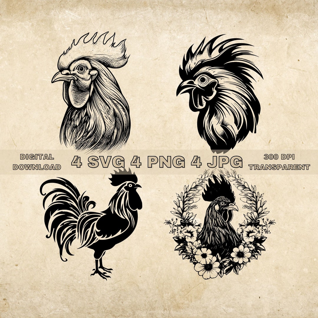 Rooster SVG Bundle, PNG, Farm Animal Clipart, Hand Drawn Rooster Vector ...