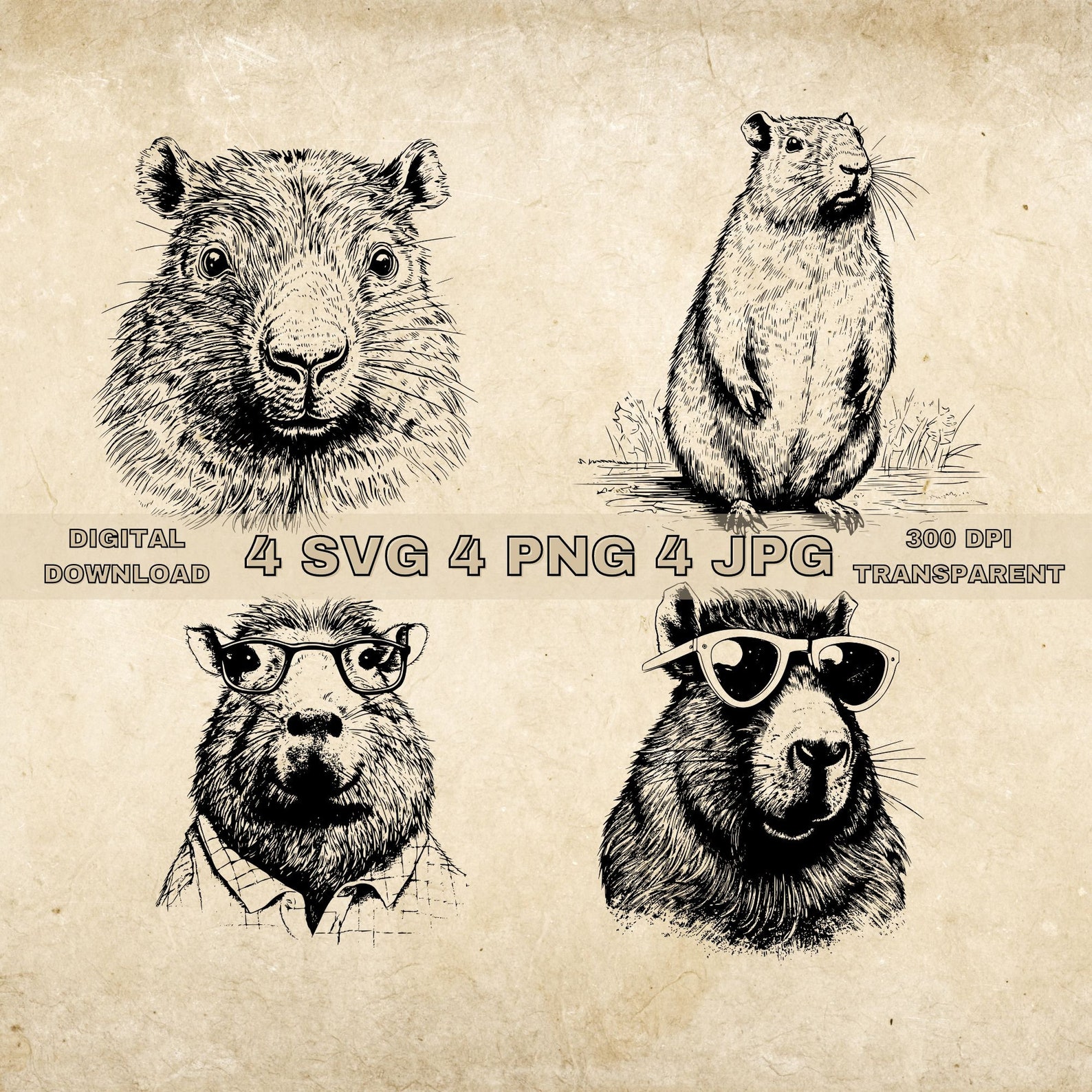 Capybara SVG Bundle, PNG, Capybara Clipart, Hand Drawn Capybaras Vector ...