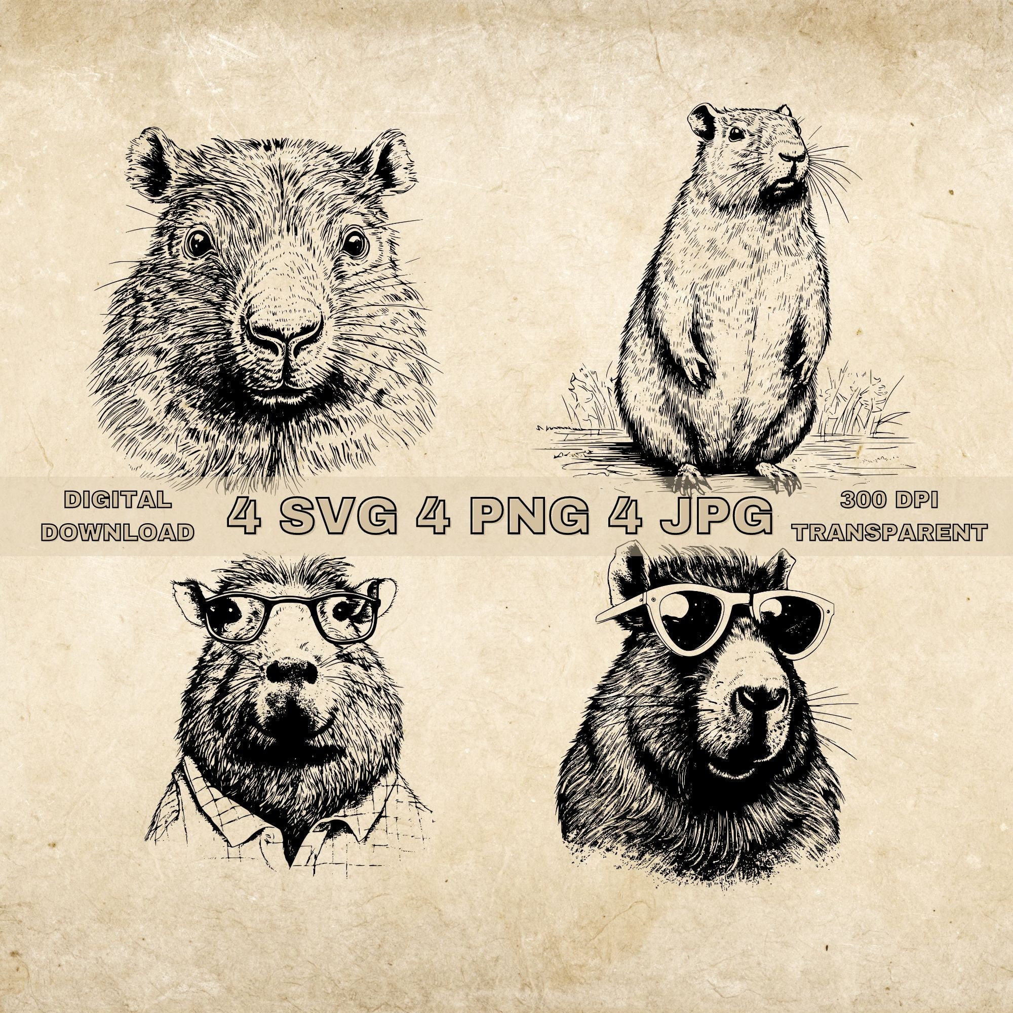 Capybara SVG Bundle, PNG, Capybara Clipart, Hand Drawn Capybaras Vector ...