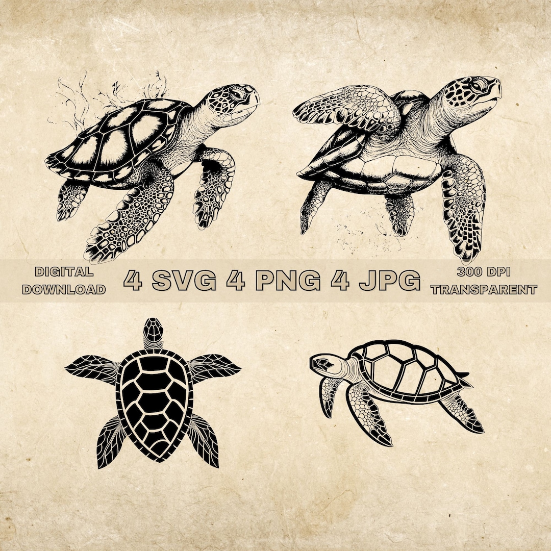 Sea Turtle SVG Bundle, PNG, Sea Animal Clipart, Hand Drawn Sea Turtle ...