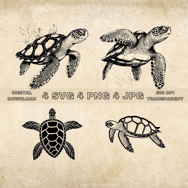 Sea Turtle SVG Bundle, PNG, Sea Animal Clipart, Hand Drawn Sea Turtle ...