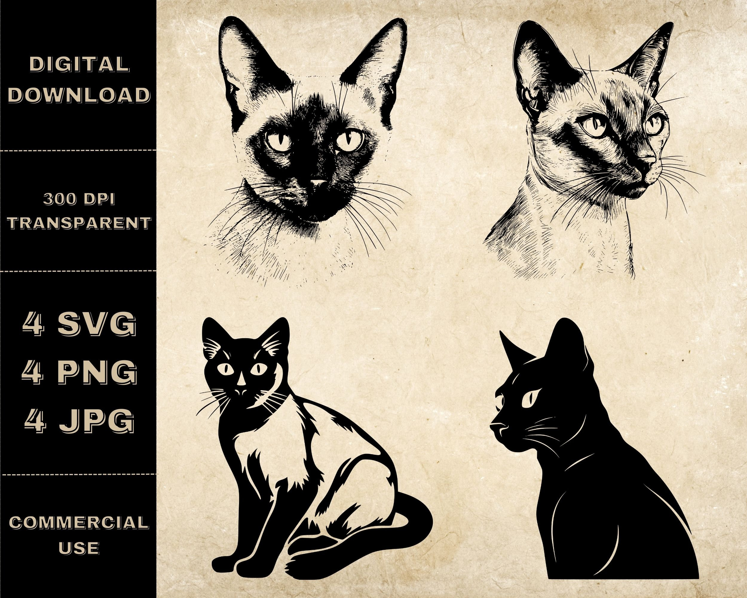 Siamese Cat SVG Bundle PNG Siamese Cat Clipart Hand Drawn - Etsy