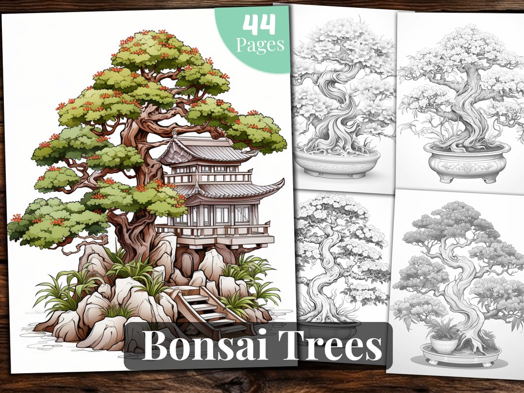 Bonsai Tree Coloring Book, 44 Coloring Pages, for Adults and for Kids ...