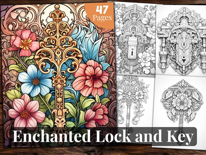 Enchanted Lock and Key Coloring Book, 47 Coloring Pages, for Adults and ...