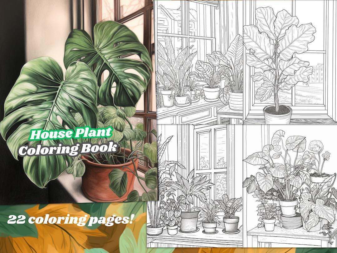 House Plant Coloring Page Book, Adults & Kids, Instant Download ...
