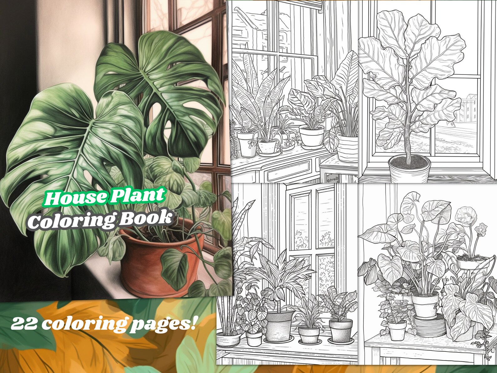 House Plant Coloring Page Book, Adults & Kids, Instant Download ...