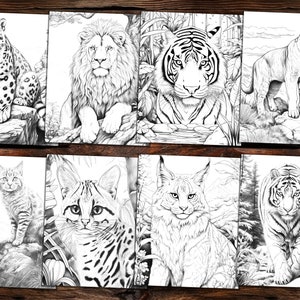 Wild Cats Coloring Page Book, Fantasy Coloring Book, Adult Coloring ...