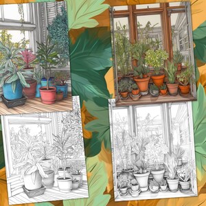 House Plant Coloring Page Book, Adults & Kids, Instant Download ...