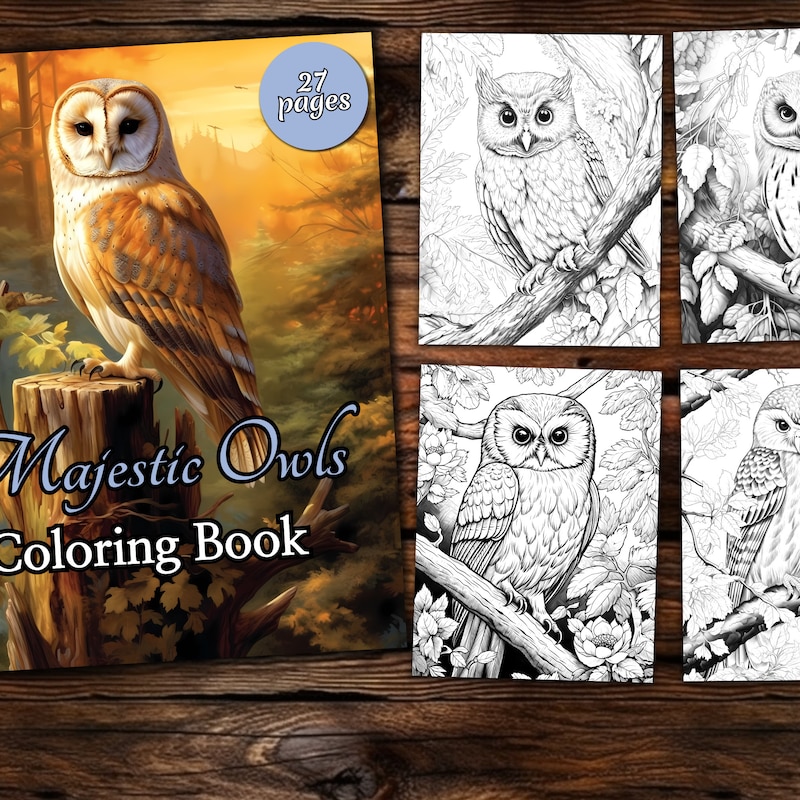 Owl Coloring - Etsy