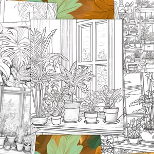 House Plant Coloring Page Book, Adults & Kids, Instant Download ...