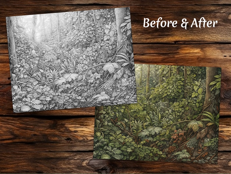 Enchanted Forest Coloring Page Book Fantasy Coloring Book - Etsy