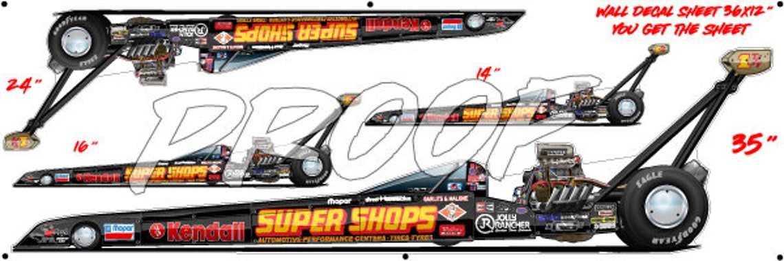 Don Garlits swamp Rat 30 Top Fuel Dragster, LARGE 35 nitro Heads Wall ...