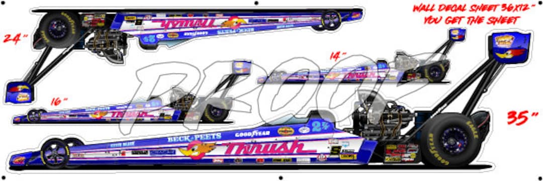 Gary Becks's fictional Thrush Top Fuel Dragster, LARGE 35 nitro Heads ...