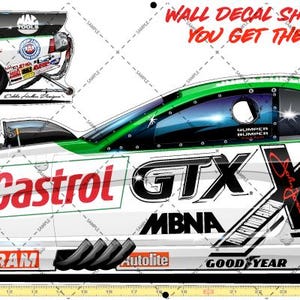 John Force 2002 Mustang AA Funny Car Huge 35 &17 NITRO Heads Wall ...
