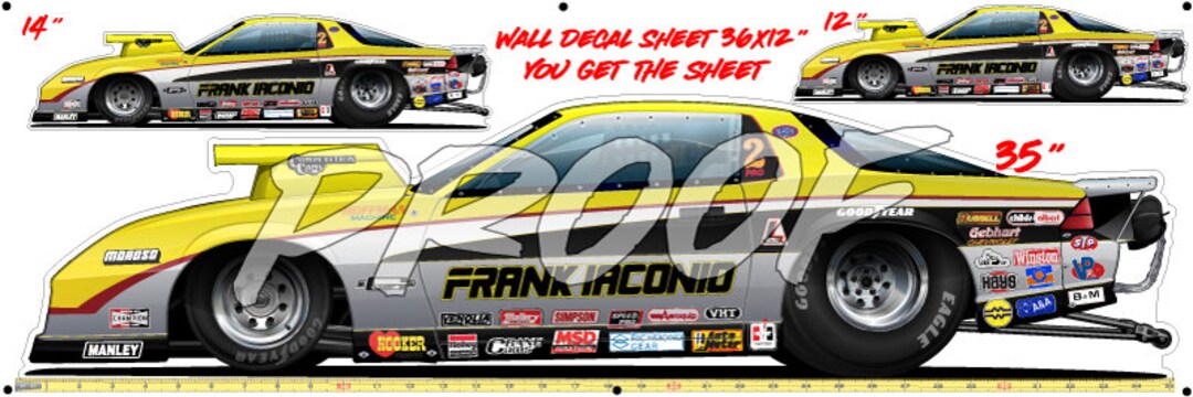 Frank Iaconio's Pro Stock Camaro, LARGE 35 nitro Heads Wall Decals - Etsy