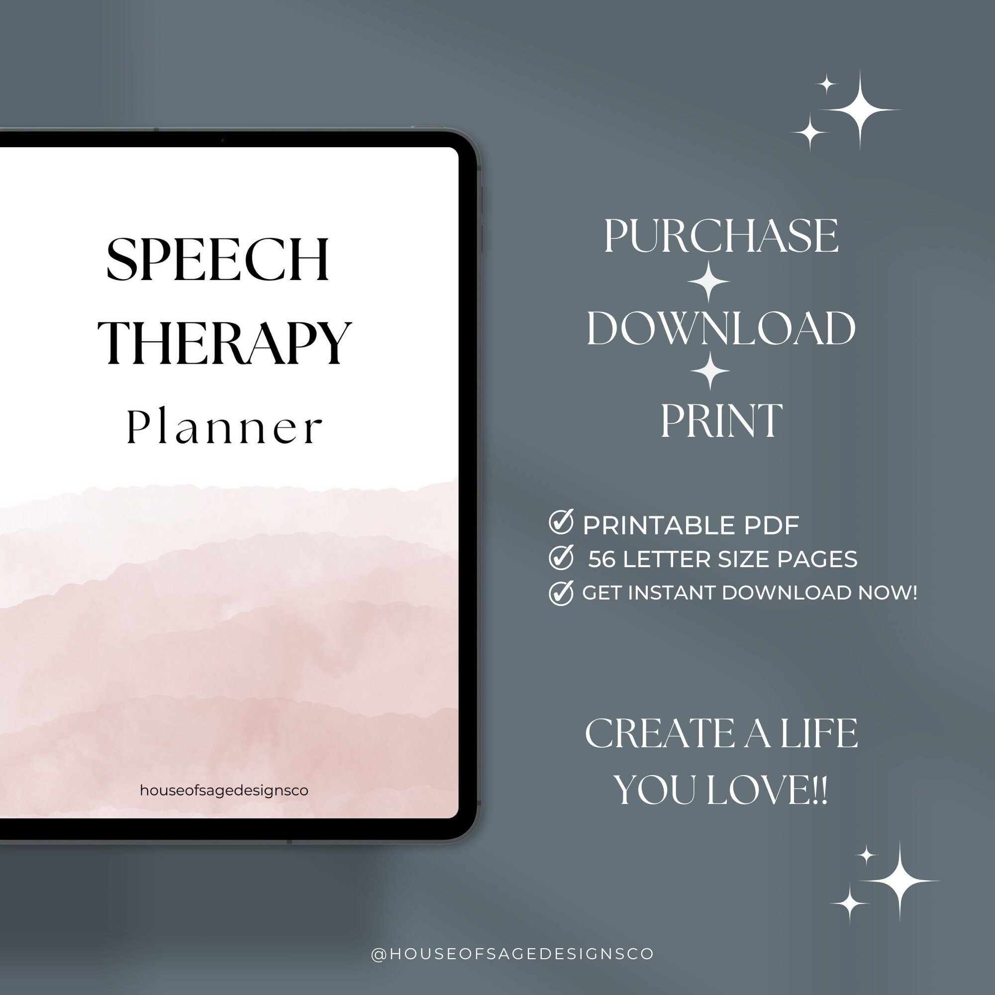 Speech Therapy Planner, IEP Trackers, SLP Planner, School SLP Planner ...
