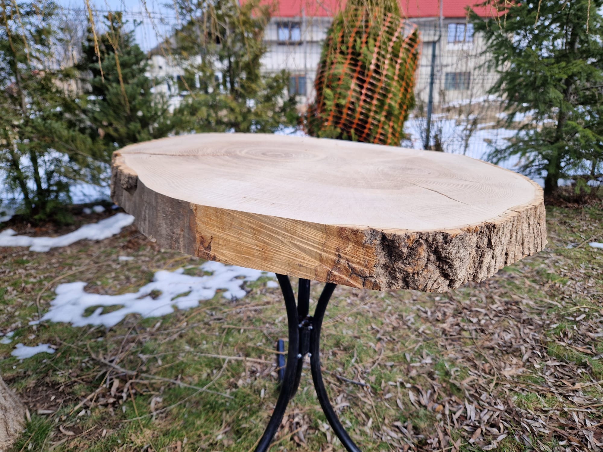 Rustic Oak Slices With Natural Pattern - Etsy UK