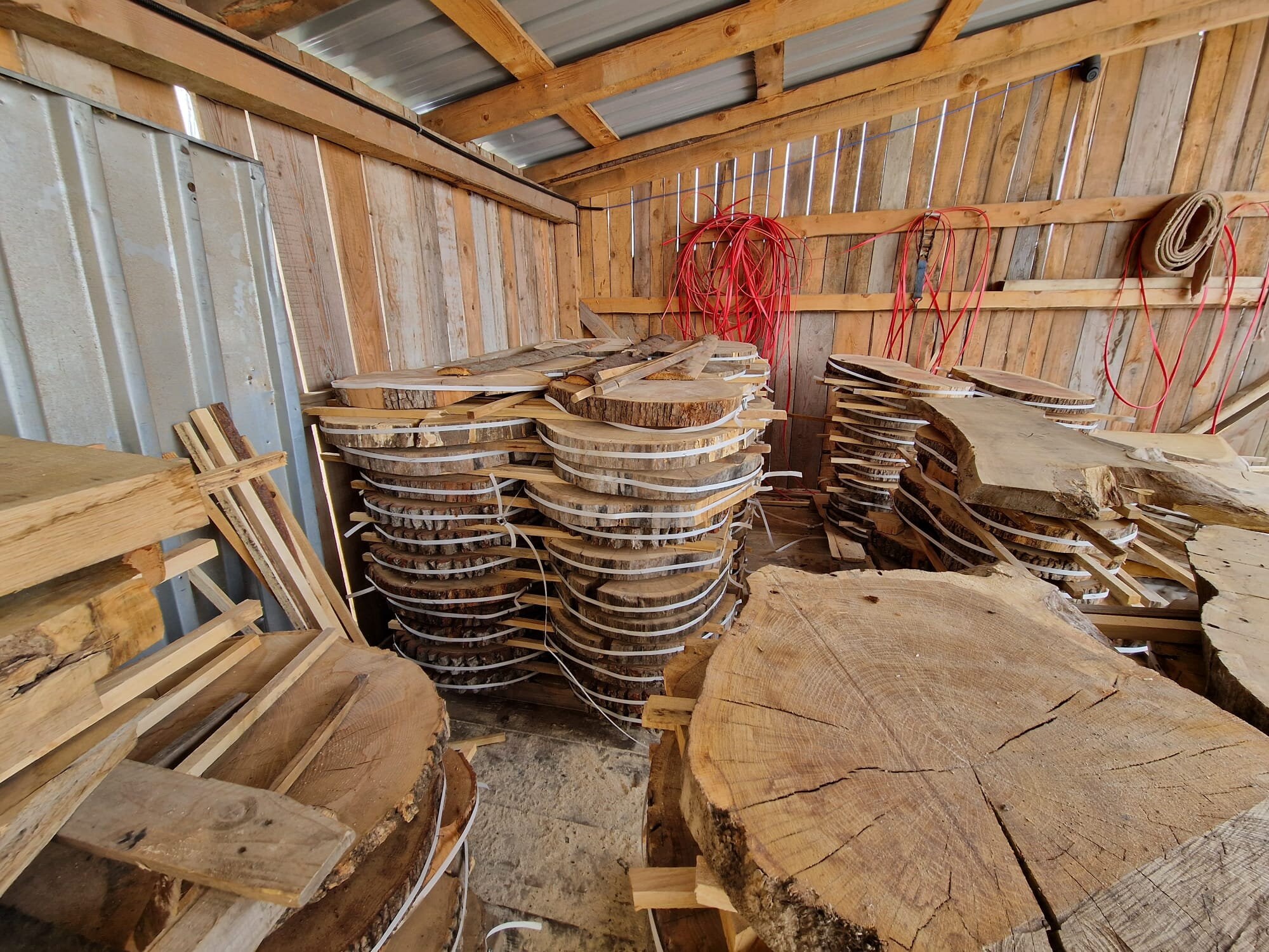 Rustic Oak Slices With Natural Pattern - Etsy UK