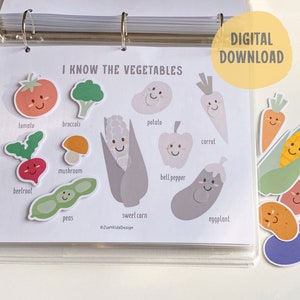 Busy Book Printable, Toddler Learning Binder, Preschool Activities ...