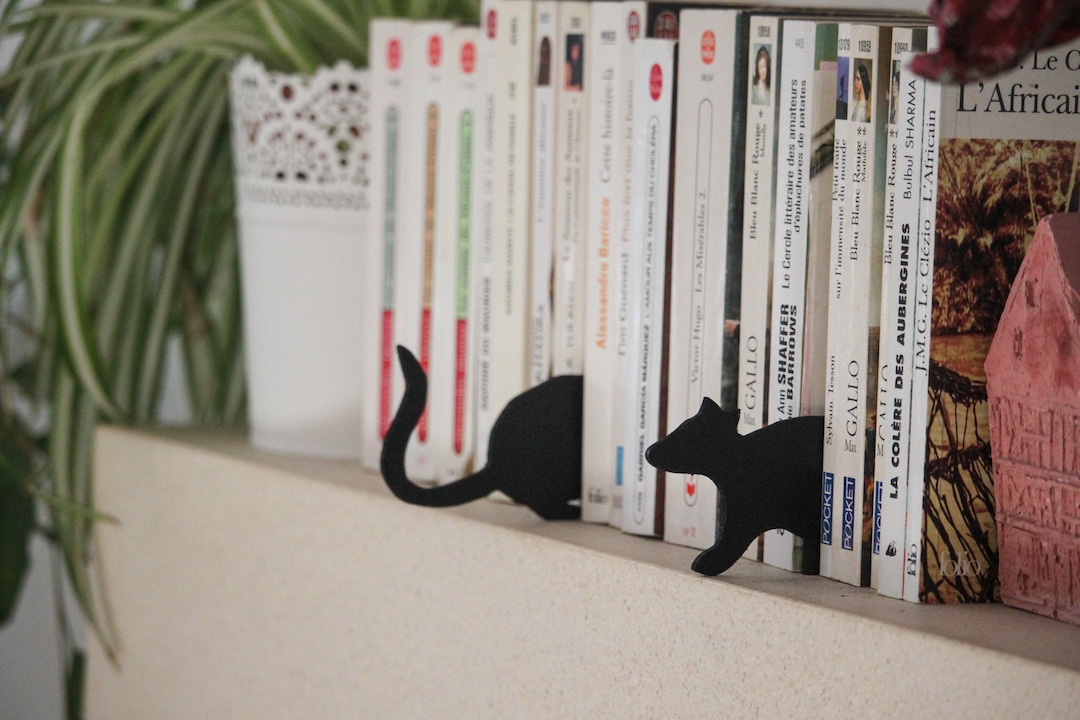 Mouse 2 Decoration for Bookcase - Etsy