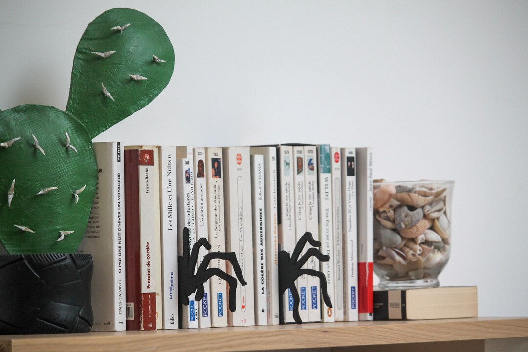 Spider - Decoration for Bookcase - Etsy