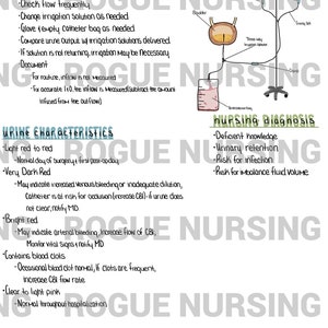 Med-surg Genitourinary System - Etsy