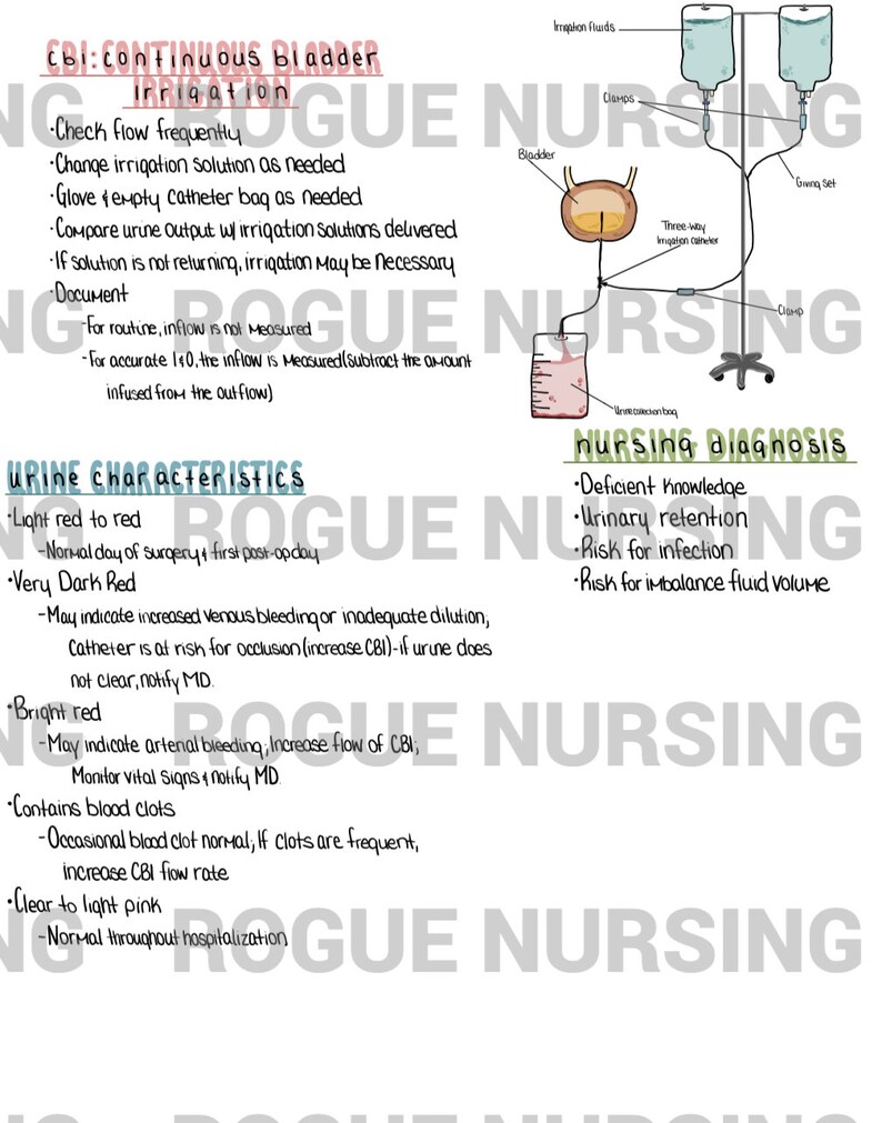 Med-surg Genitourinary System - Etsy