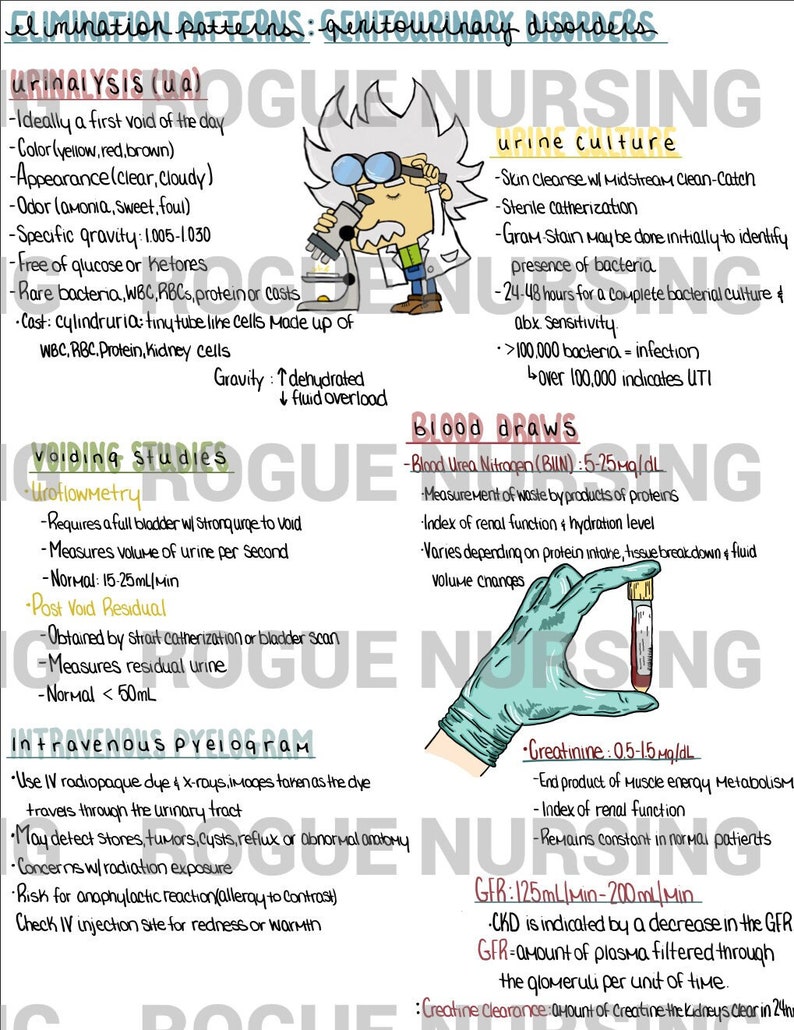 Med-surg Genitourinary System - Etsy