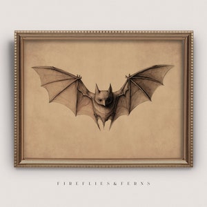 Vintage Bat Gothic Bat Print Victorian Bat Study Gothic - Etsy