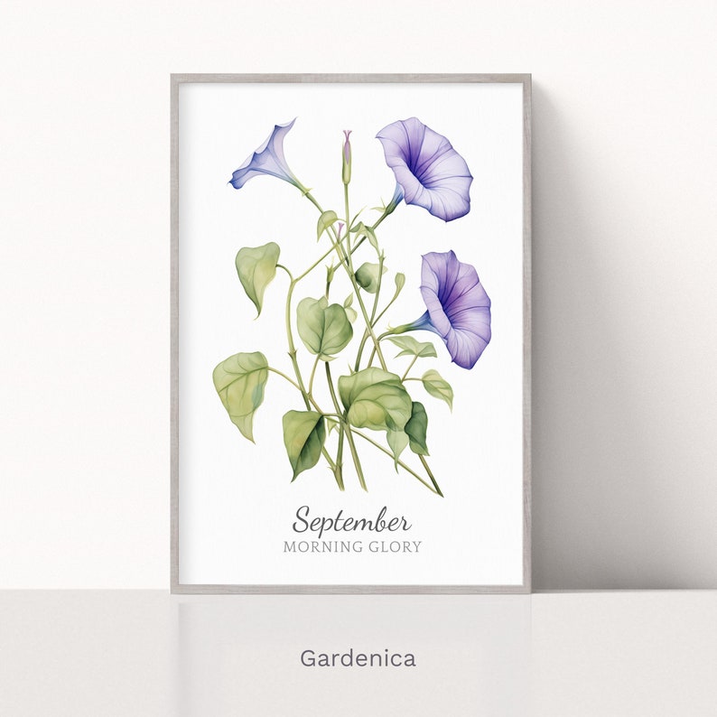 Morning Glory September Birth Flower Watercolor Print, Minimalistic ...