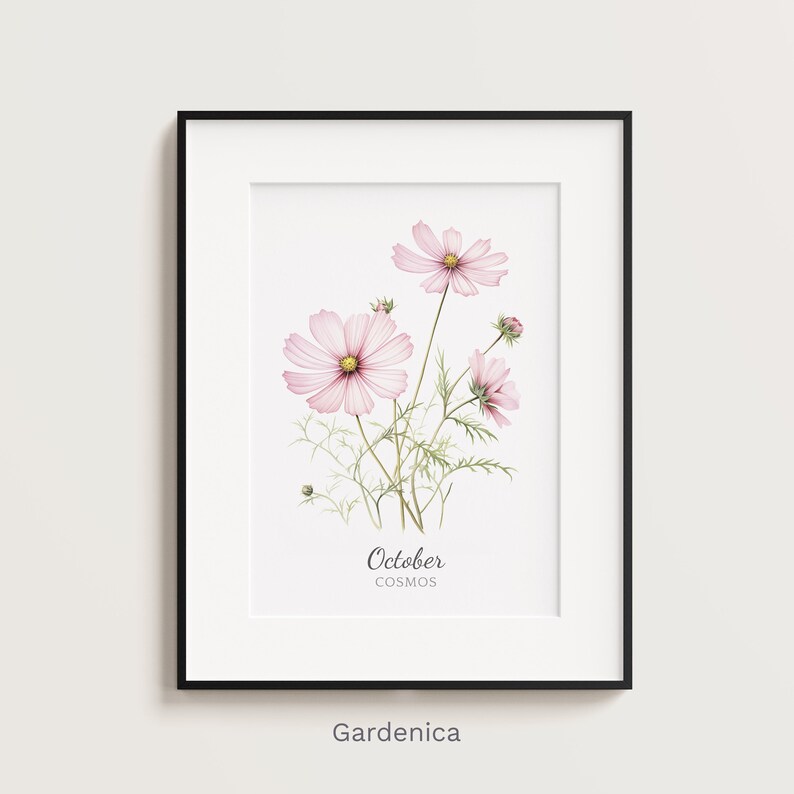 Cosmos October Birth Flower Watercolor Print, Minimalistic Floral Art ...