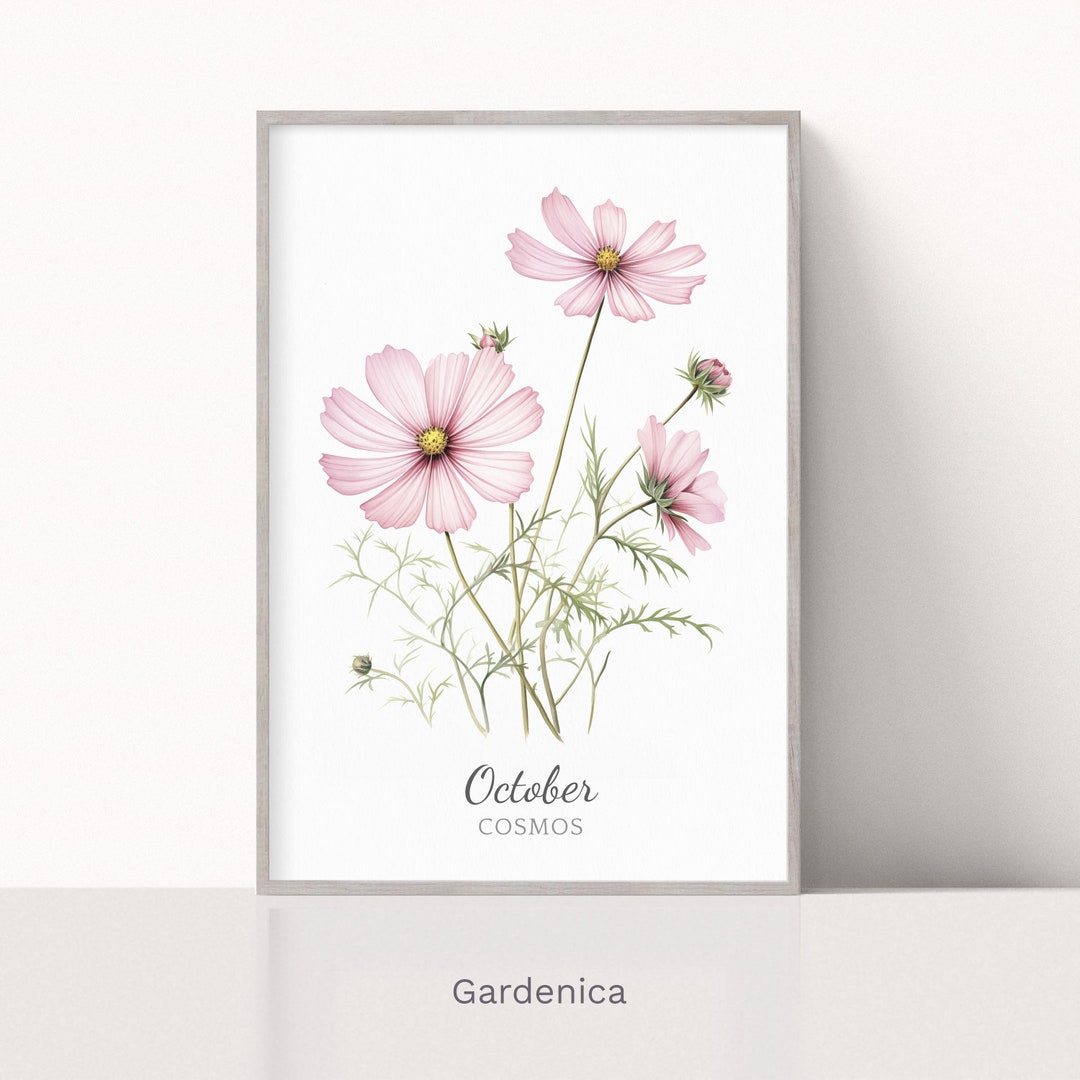 Cosmos October Birth Flower Watercolor Print, Minimalistic Floral Art ...