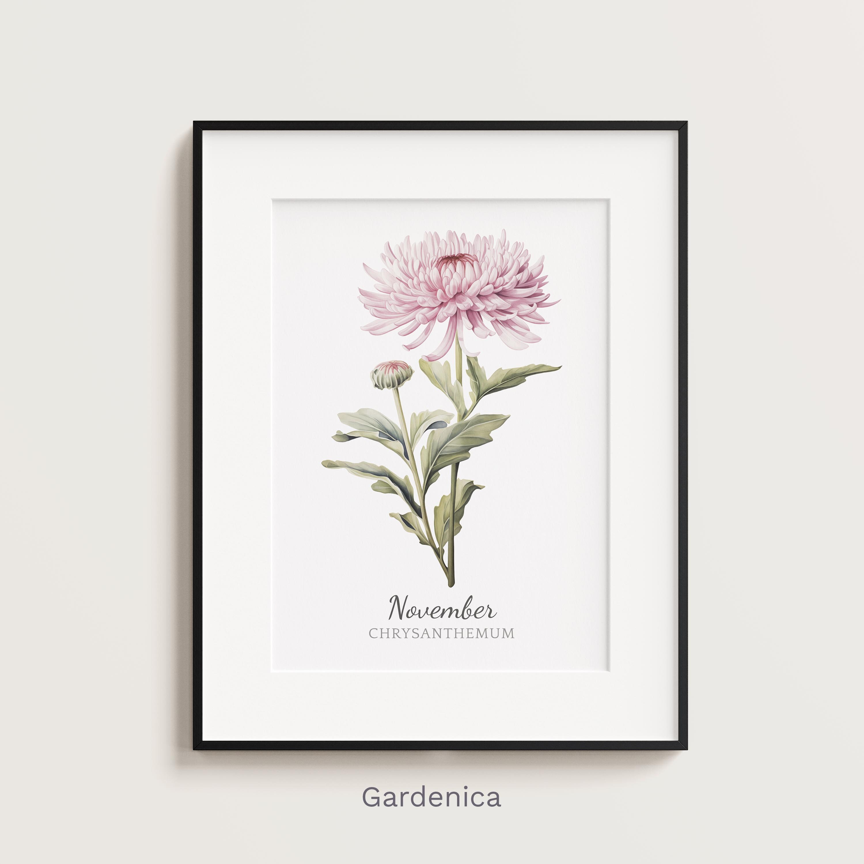 Chrysanthemum November Birth Flower Watercolor Print, Minimalistic ...