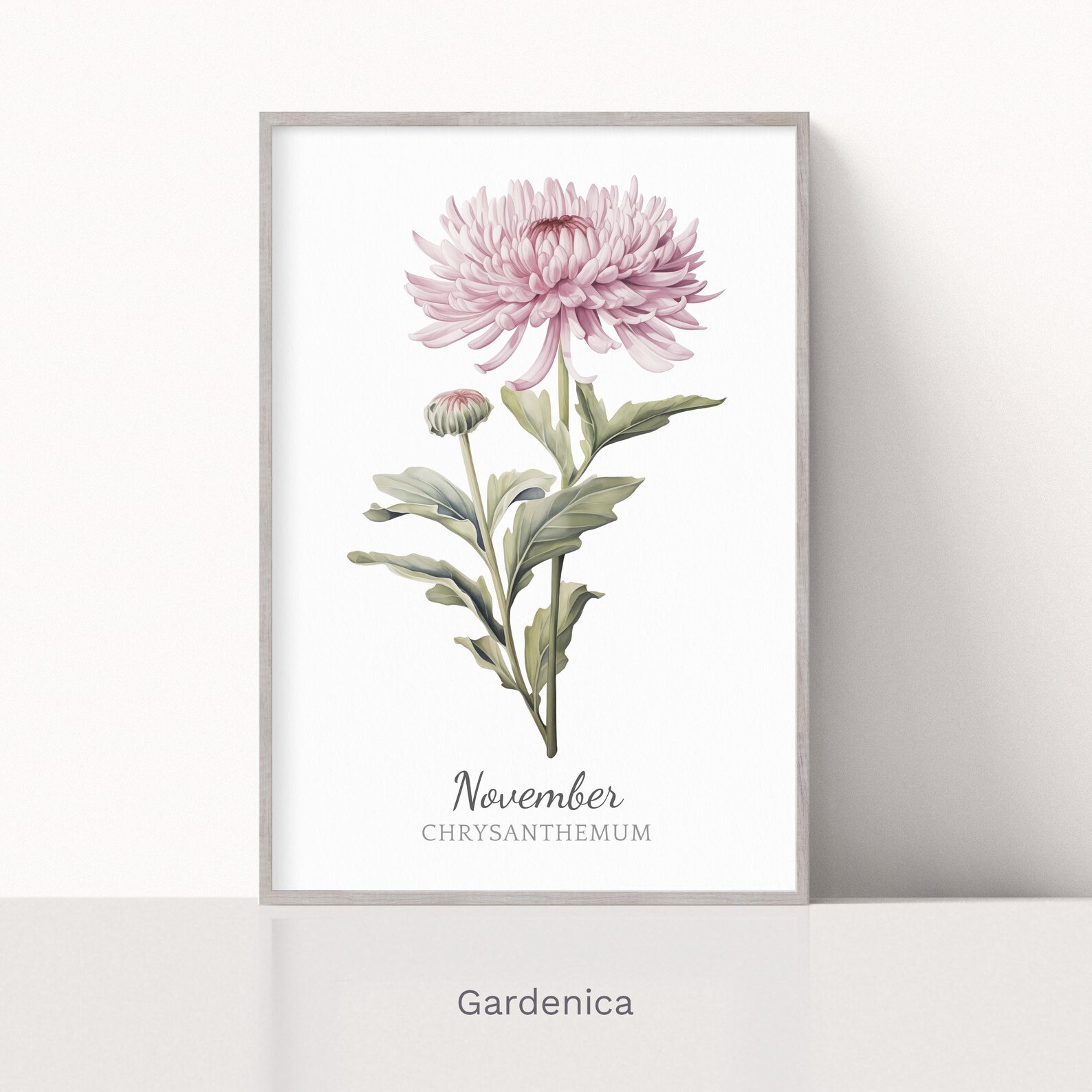 Chrysanthemum November Birth Flower Watercolor Print, Minimalistic ...