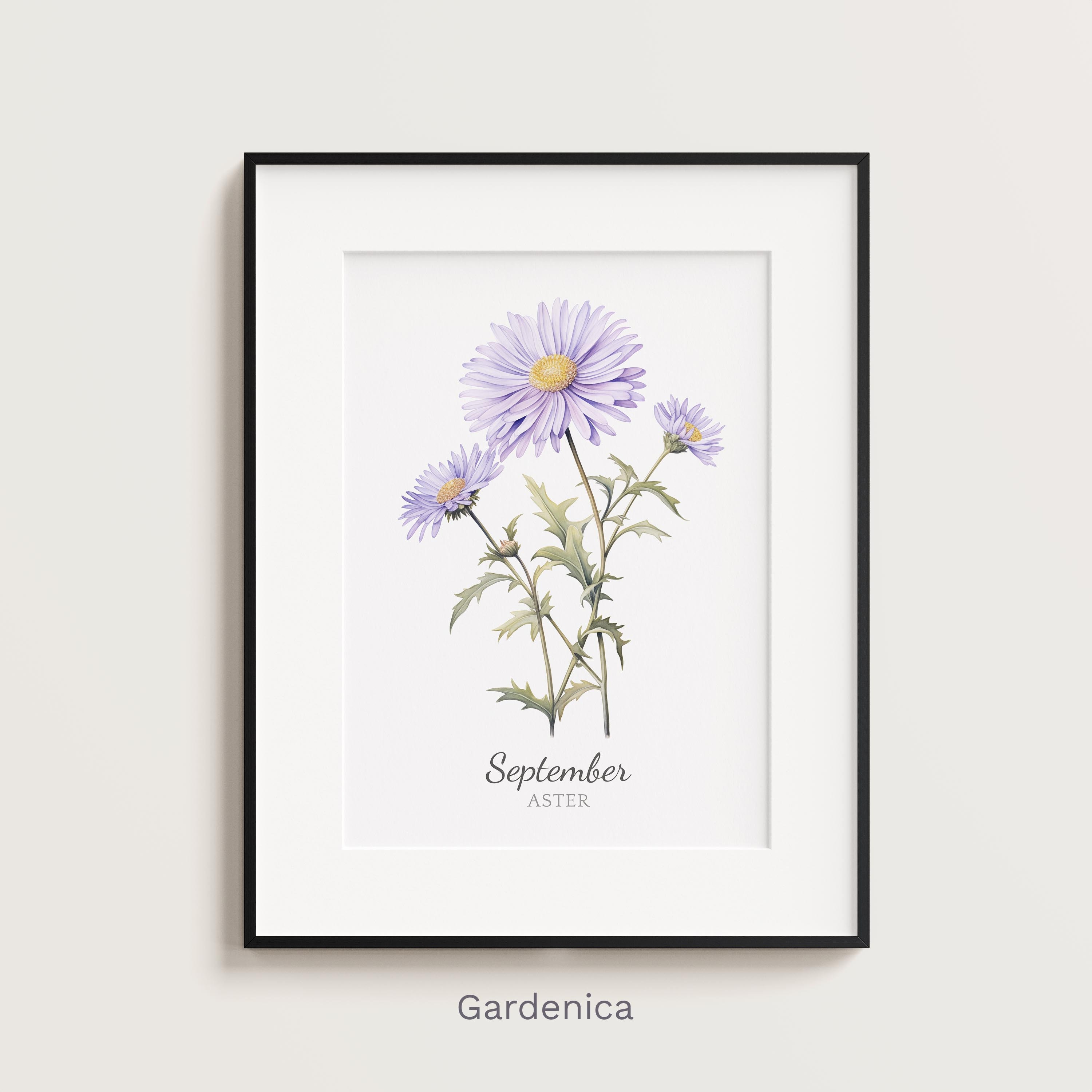 Aster September Birth Flower Watercolor Print, Minimalistic Floral Art ...