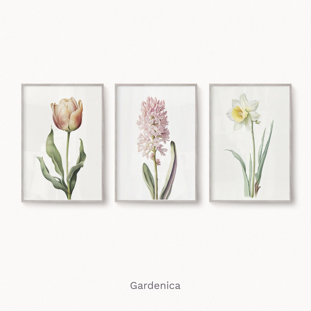 Set of 3 Flower Prints, Spring Flowers, Printable Wall Art, Watercolor ...