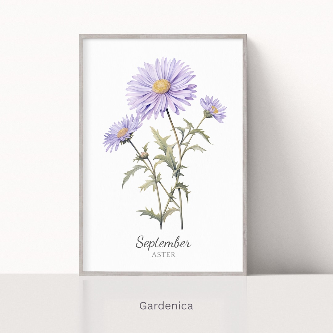 Aster September Birth Flower Watercolor Print, Minimalistic Floral Art, Birthday Gift, Instant ...