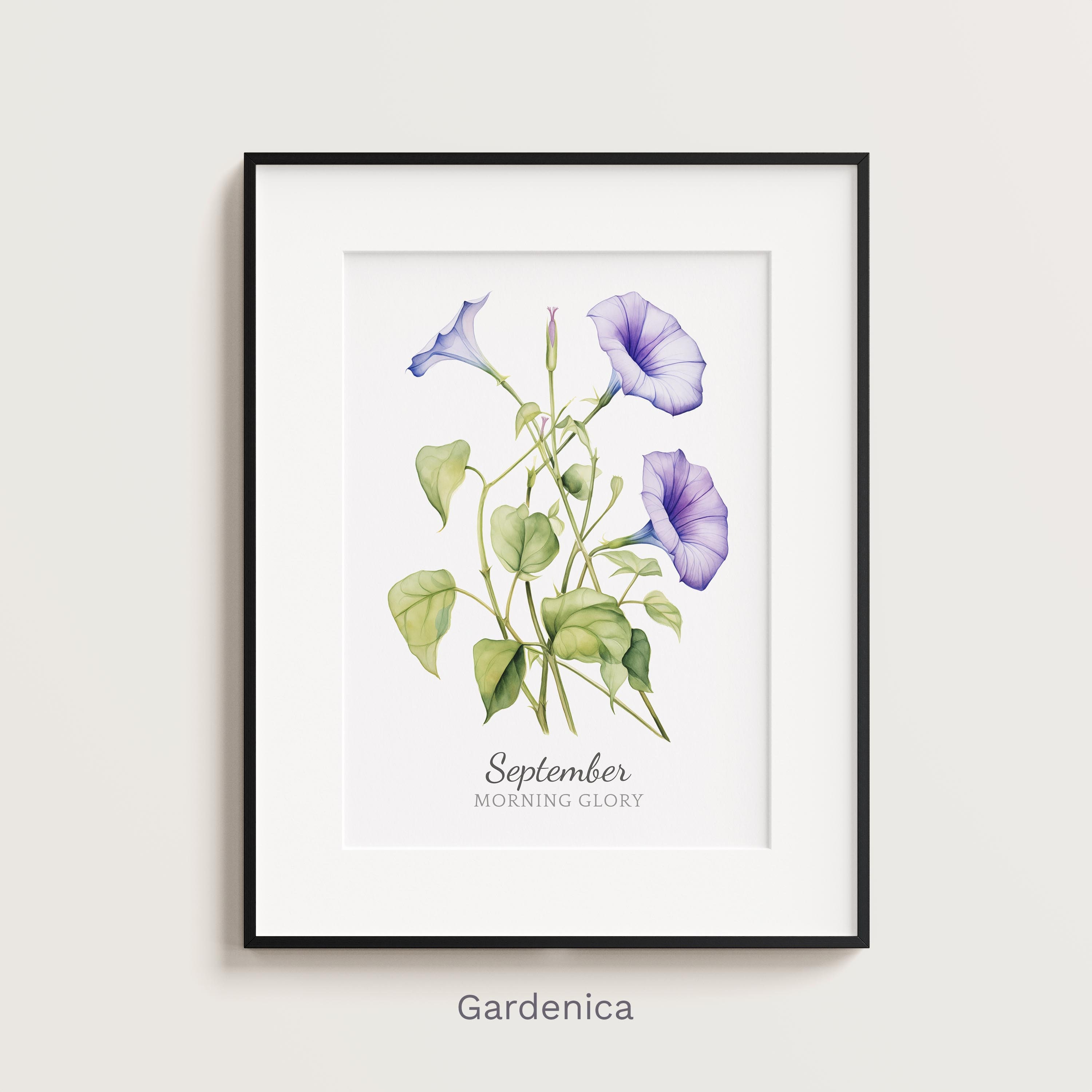 Morning Glory September Birth Flower Watercolor Print, Minimalistic ...