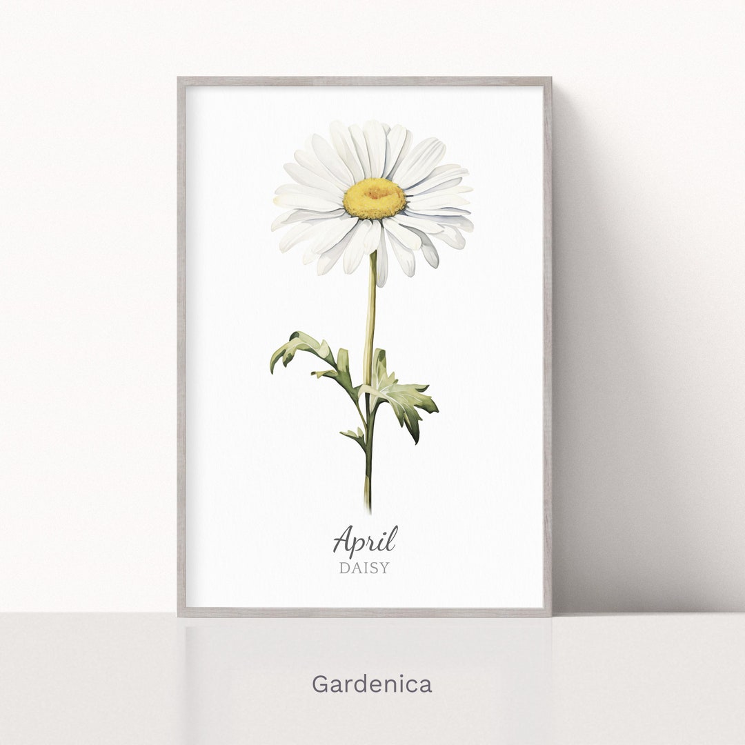 Daisy April Birth Flower Watercolor Print, Minimalistic Floral Art ...