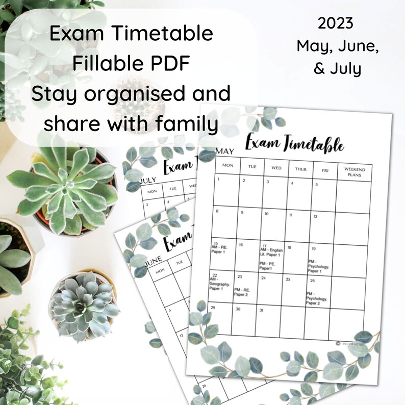 UK GCSE A Level 2023 Exam Prep and Revision Bundle. Top Tips. Modern ...