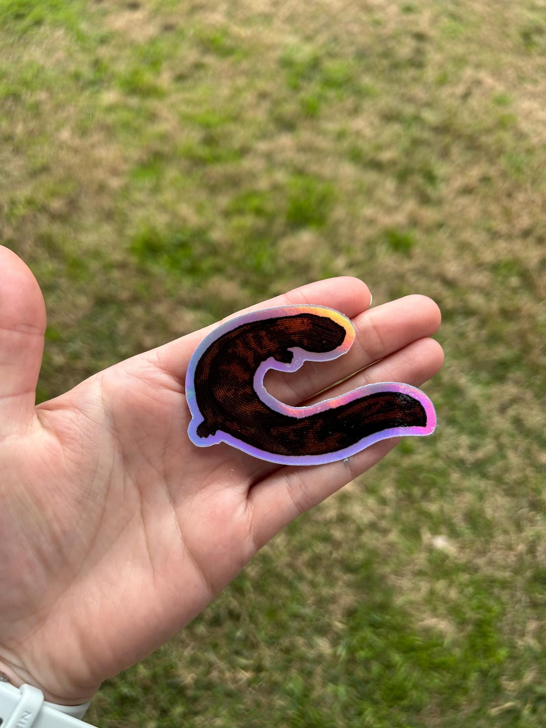 Beaded Hellbender Holographic Sticker - Etsy