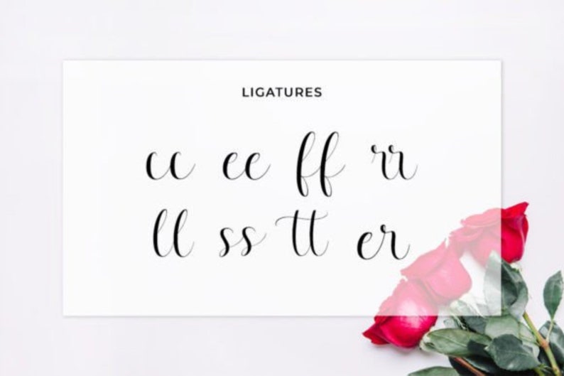 Sofia Font Script Fontcalligraphy Fontelegant Font font With Tail Heart ...