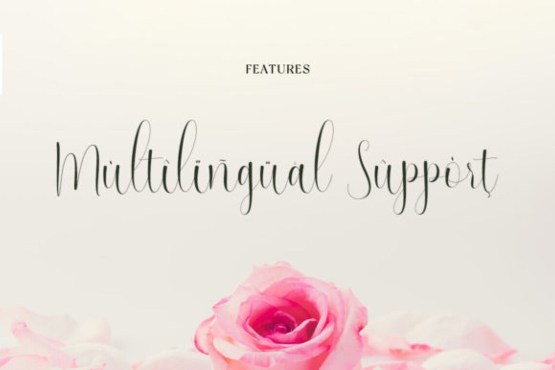 Sofia Font Bundle Script Font Font With Hearts Font With Tails Heart Font Wedding Font Cursive ...