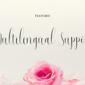 Sofia Font Bundle| Script Font| Font With Hearts| Font With Tails| Heart Font| Wedding Font ...