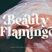 Great Mango Font Retro Serif Font Groovy Font 60s 70s Font elegant ...
