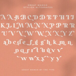 Great Mango Font| Retro Serif Font| Groovy Font | 60s 70s Font |elegant ...