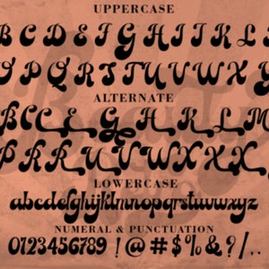 Beauty Retro Font|90s, 80s, 70s, 60s Font Font Bundle |cricut Font ...