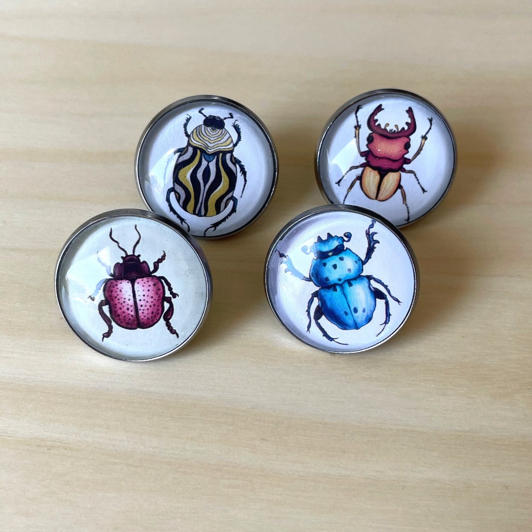 Bug Jewelry Brooch Set - Insect Pin Set - Unique Gift for Insect Lover ...