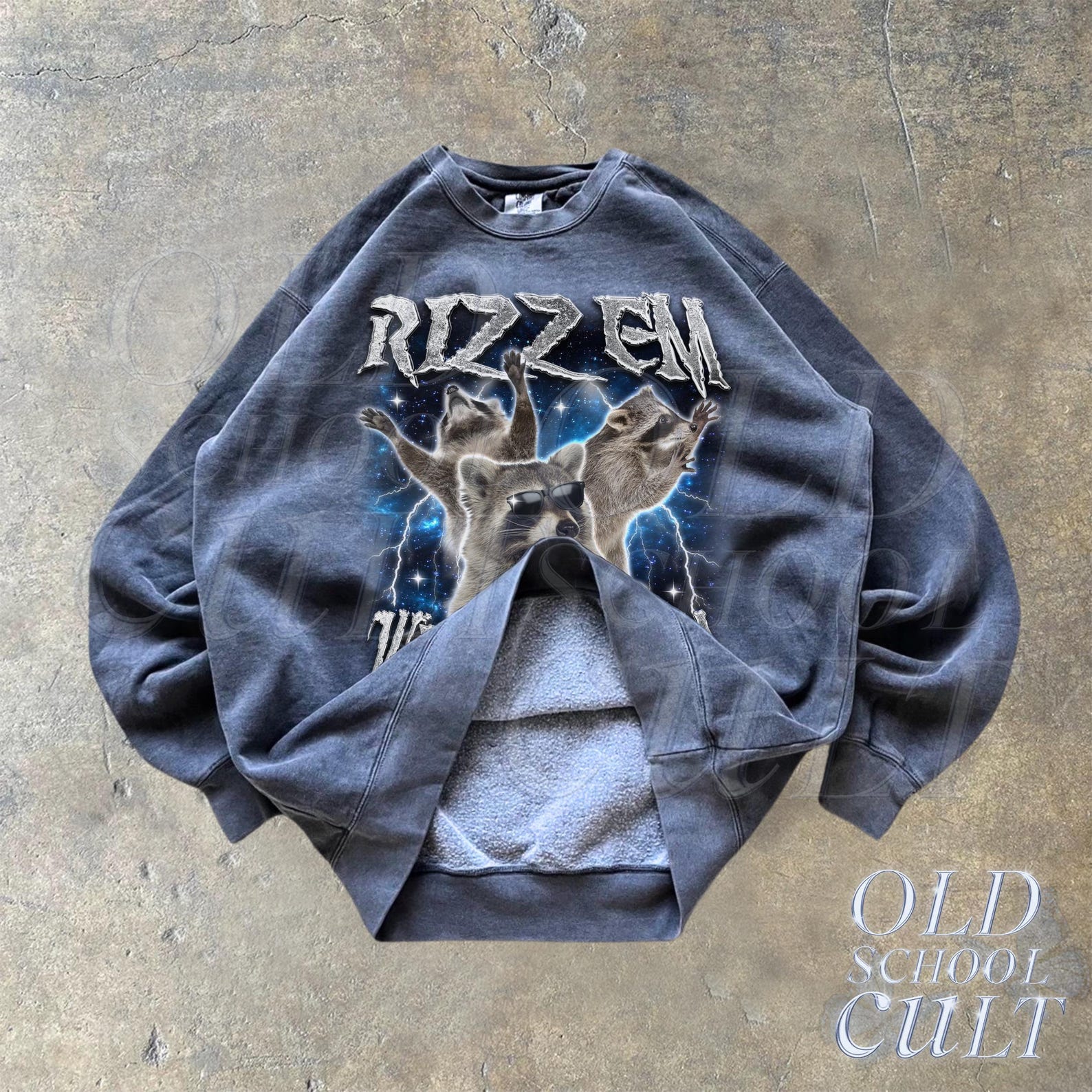 Rizz Em With the Tism Raccoon Vintage Graphic Sweatshirt, Retro 90s ...