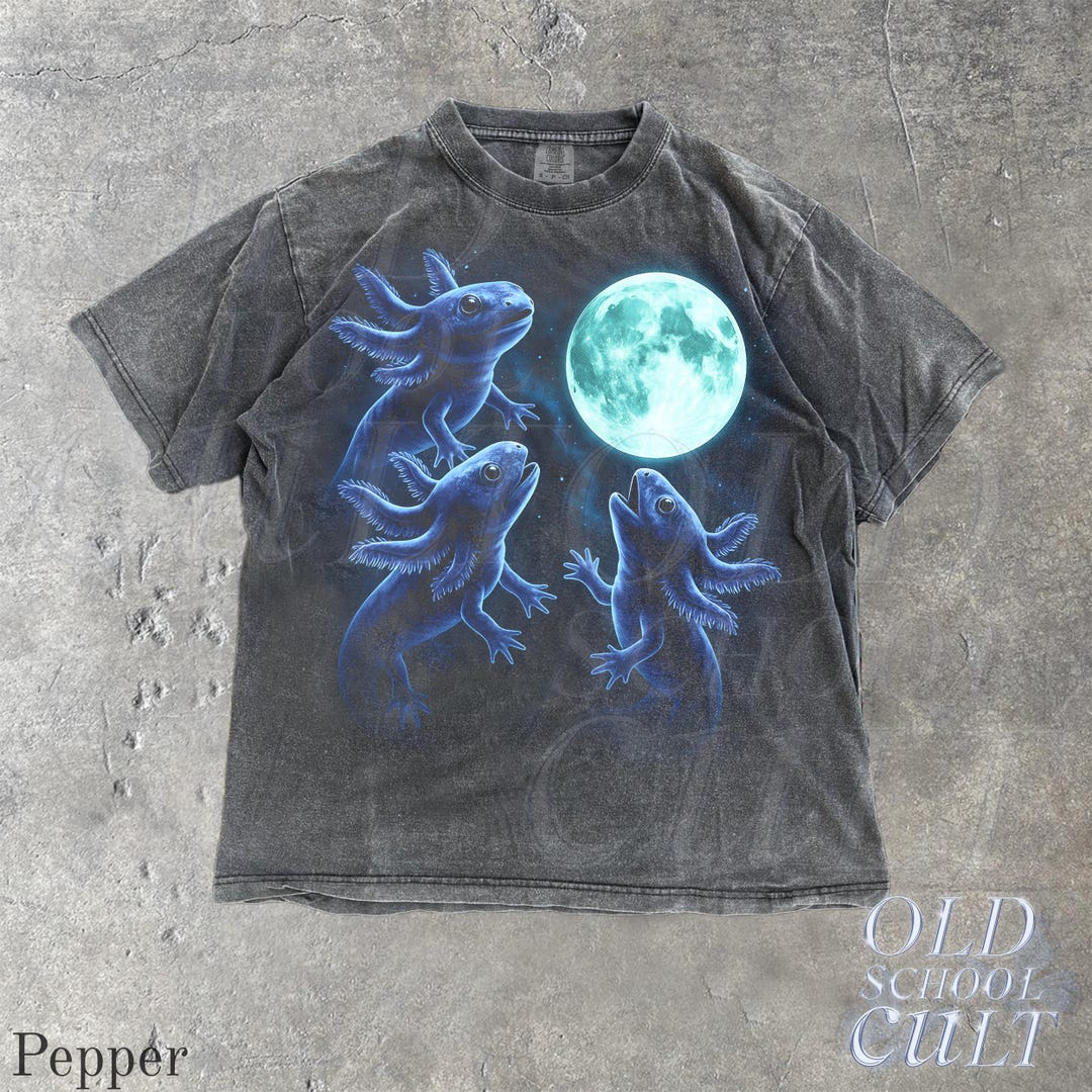 Vintage Axolotl Moon 90s Graphic T-shirt, Retro Amphibian Silly Tee ...